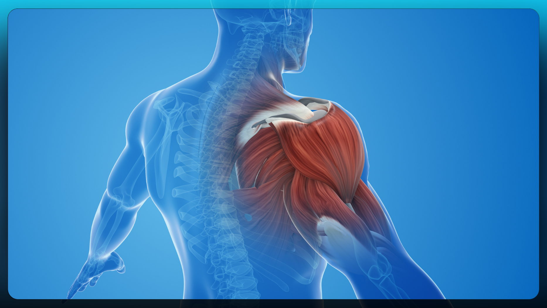 Top Powerful Strategies to improve Your Muscle Growth | Visiting Trainer